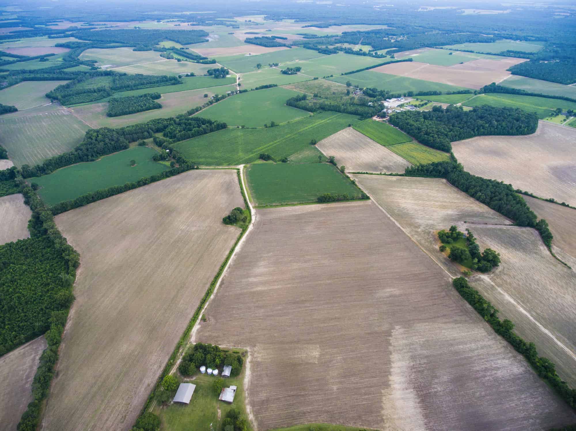 The 10 States with the Worst Feral Hog Problem - A-Z Animals