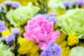 Types Of Double Bloom Flowers - A-Z Animals
