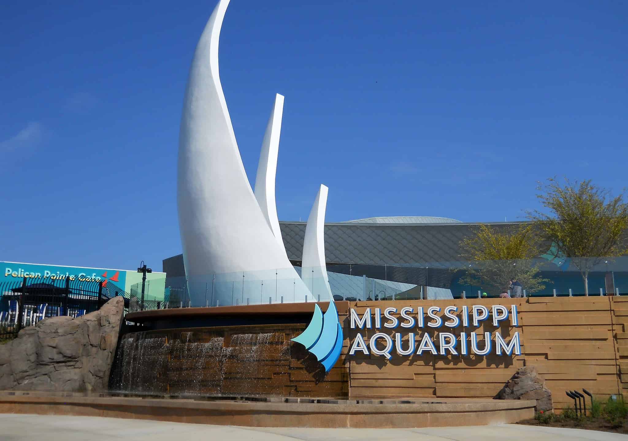 Discover 10 Aquariums And Zoos With Dolphins - A-Z Animals
