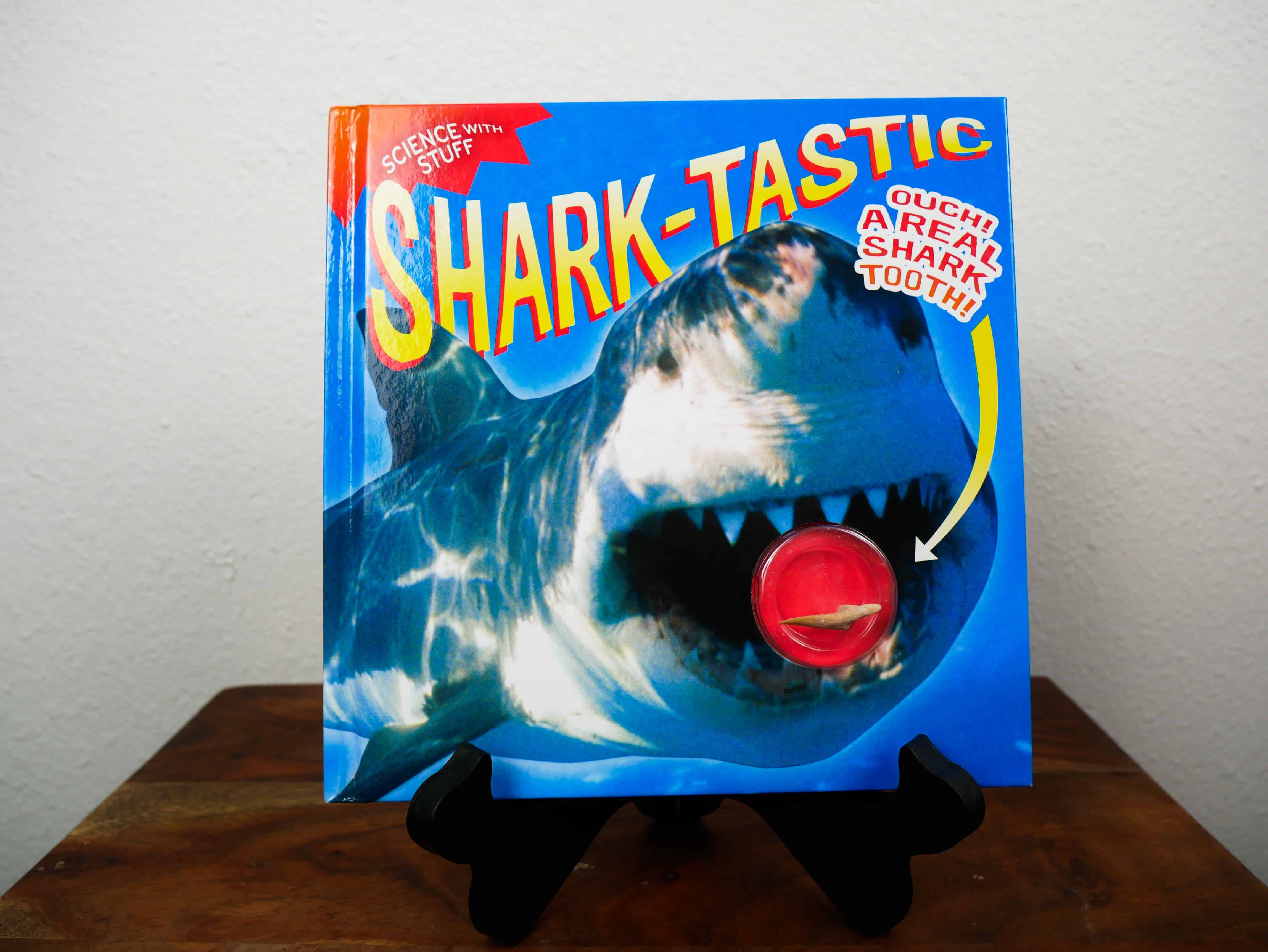 The 8 Best Children's Books About Sharks Available Today - A-Z Animals