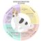 9 Types of Bacterial Infections in Dogs - A-Z Animals