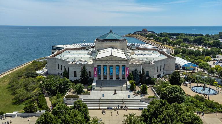Discover 10 Aquariums And Zoos With Dolphins - A-Z Animals