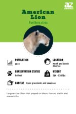 Panthera atrox (American Lion) Animal Facts - Panthera atrox - A-Z Animals