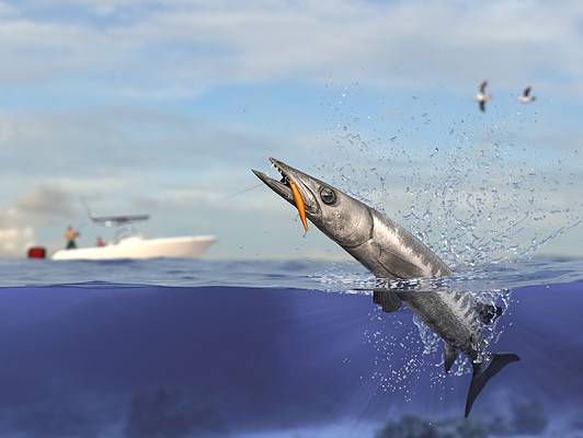 Barracuda Fish Facts - A-Z Animals