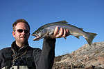 Sea Trout Animal Facts - Salmo trutta - A-Z Animals