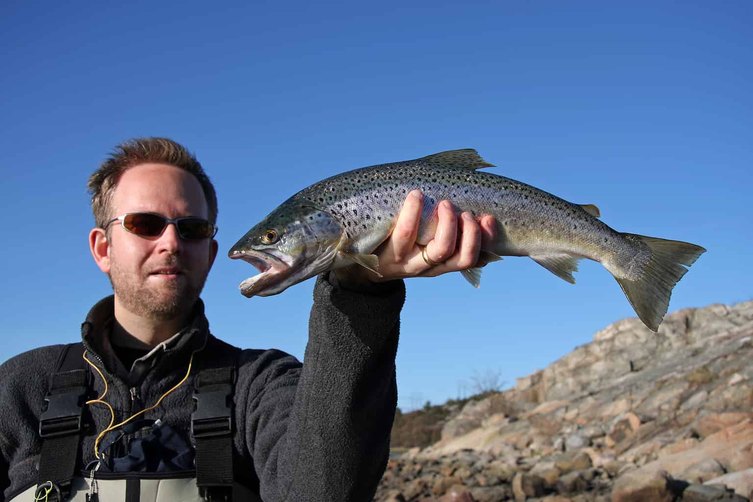 Trout Animal Facts - A-Z Animals