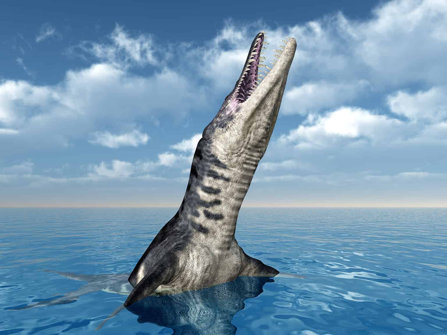 Liopleurodon Animal Facts - A-Z Animals