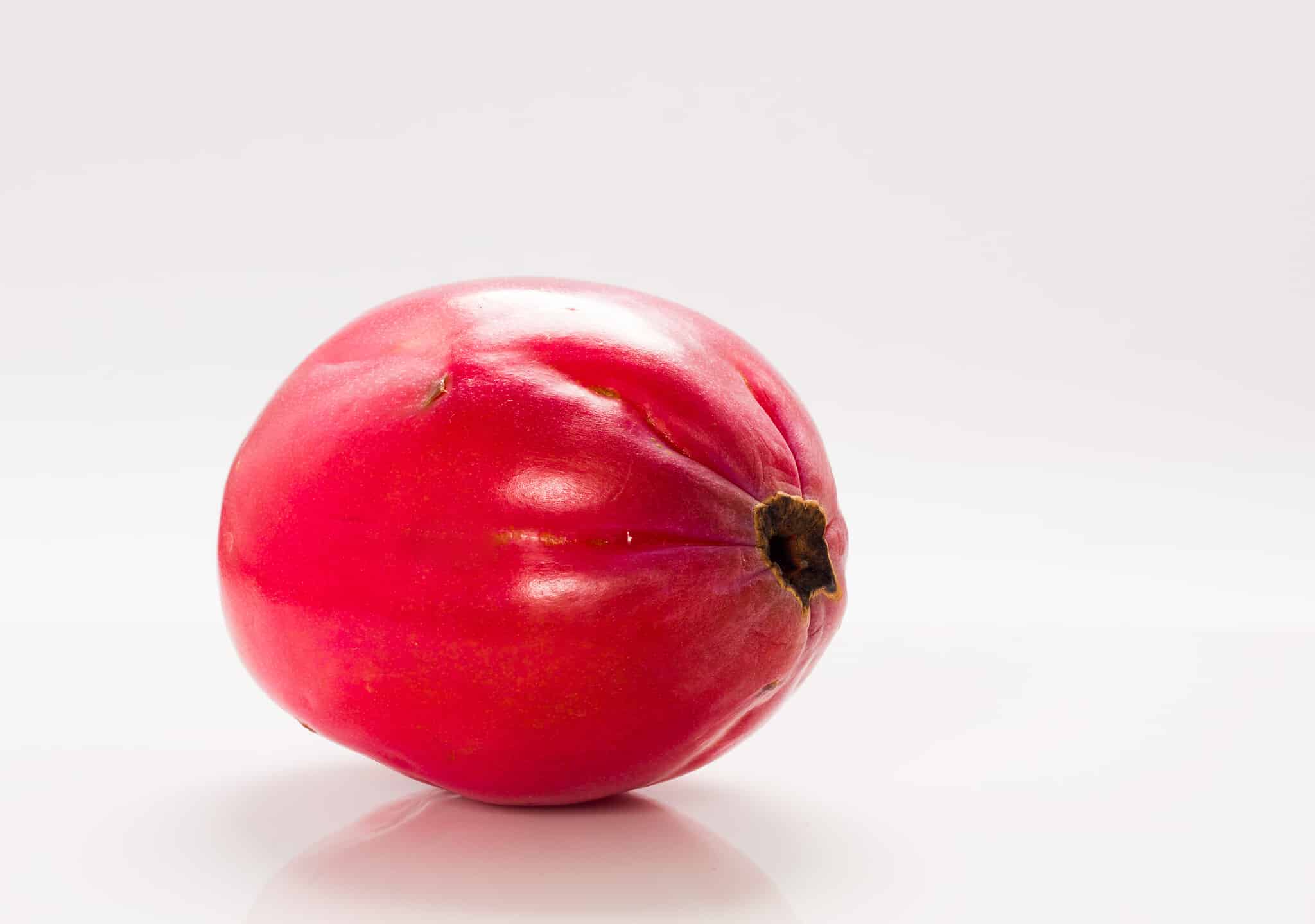 Peruvian Apple Cactus - A-Z Animals