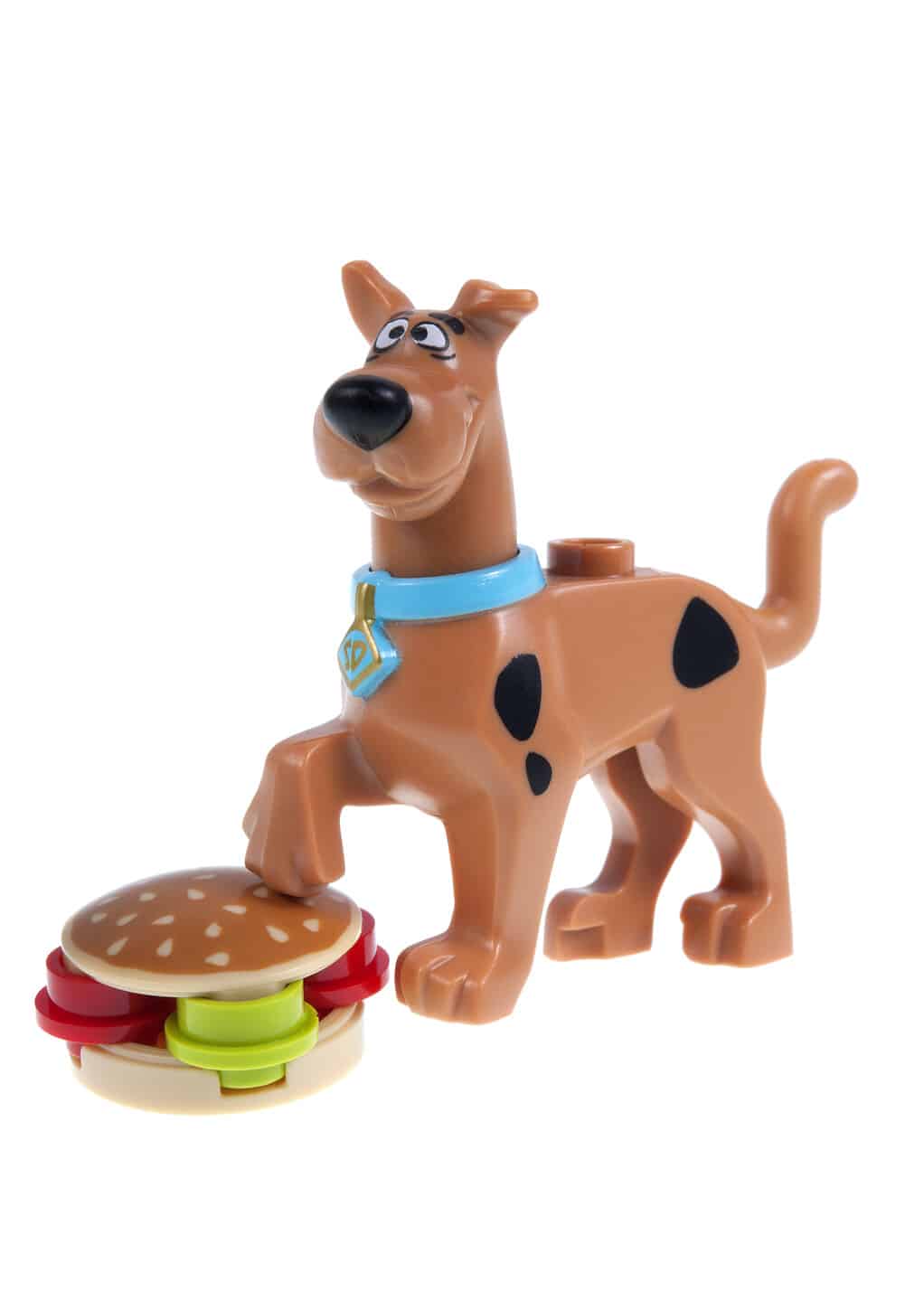 Scooby-Doo là loại chó gì? Thông tin giống, hình ảnh và sự kiện ⋆ Cá ...