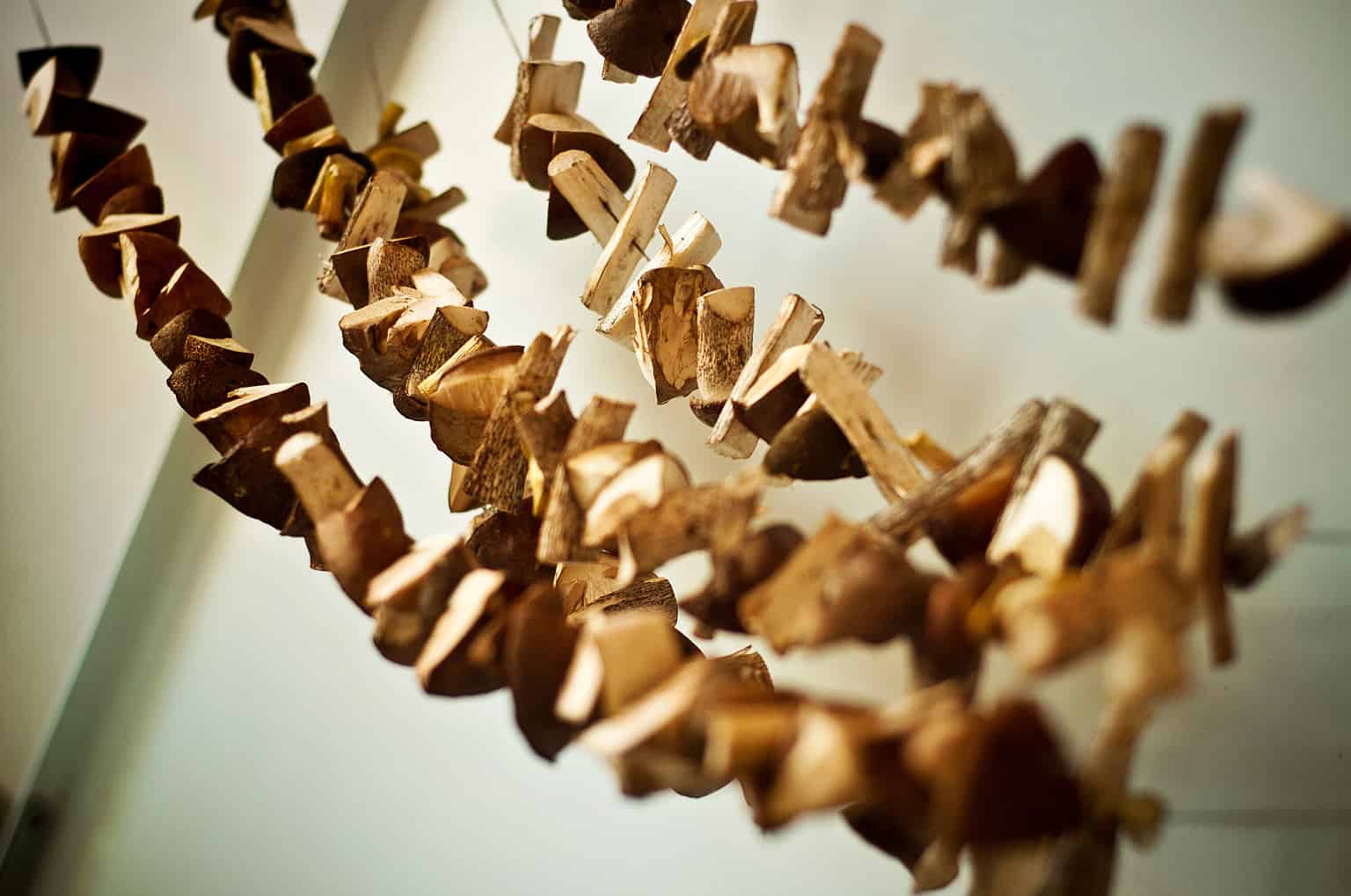 How to Dry Mushrooms - A-Z Animals