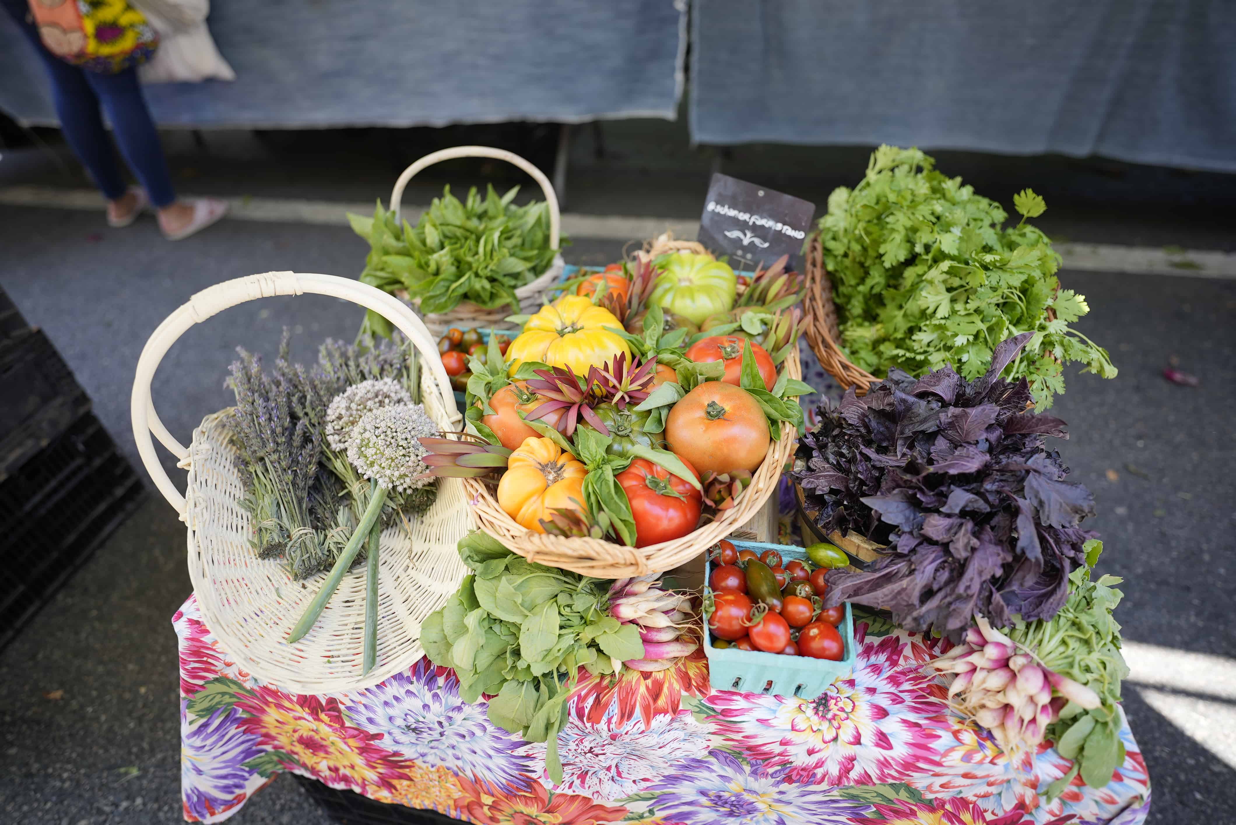 Best Way To Start a Garden in 27 Steps Any Beginner Can Do - A-Z Animals