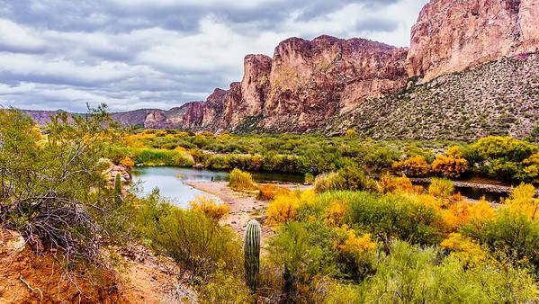 Discover the Official State Fish of Arizona (And Where You Can Catch ...