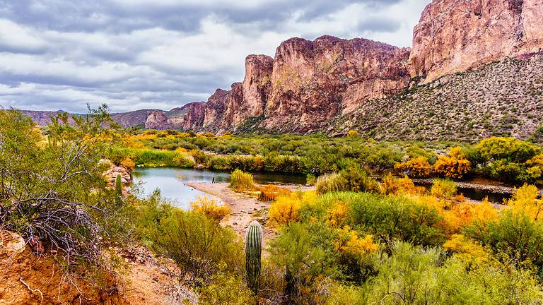 Discover the Official State Fish of Arizona (And Where You Can Catch ...
