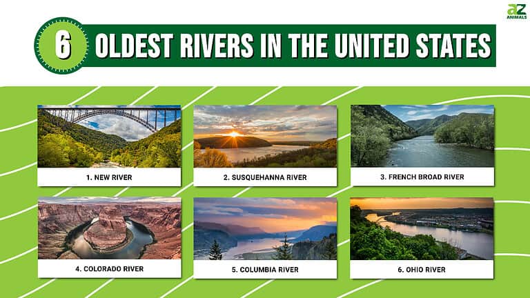 6 Oldest Rivers In The United States - A-Z Animals