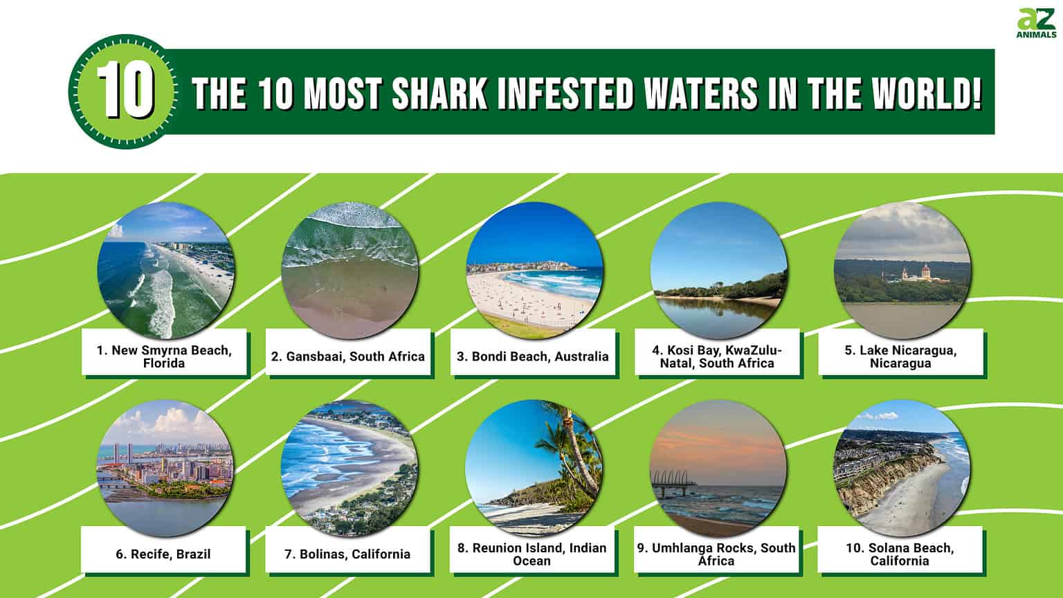 Discover the World's 10 Most Densely Populated Waters with Sharks - A-Z ...