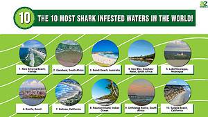Discover the World's 10 Most Densely Populated Waters with Sharks - A-Z Animals