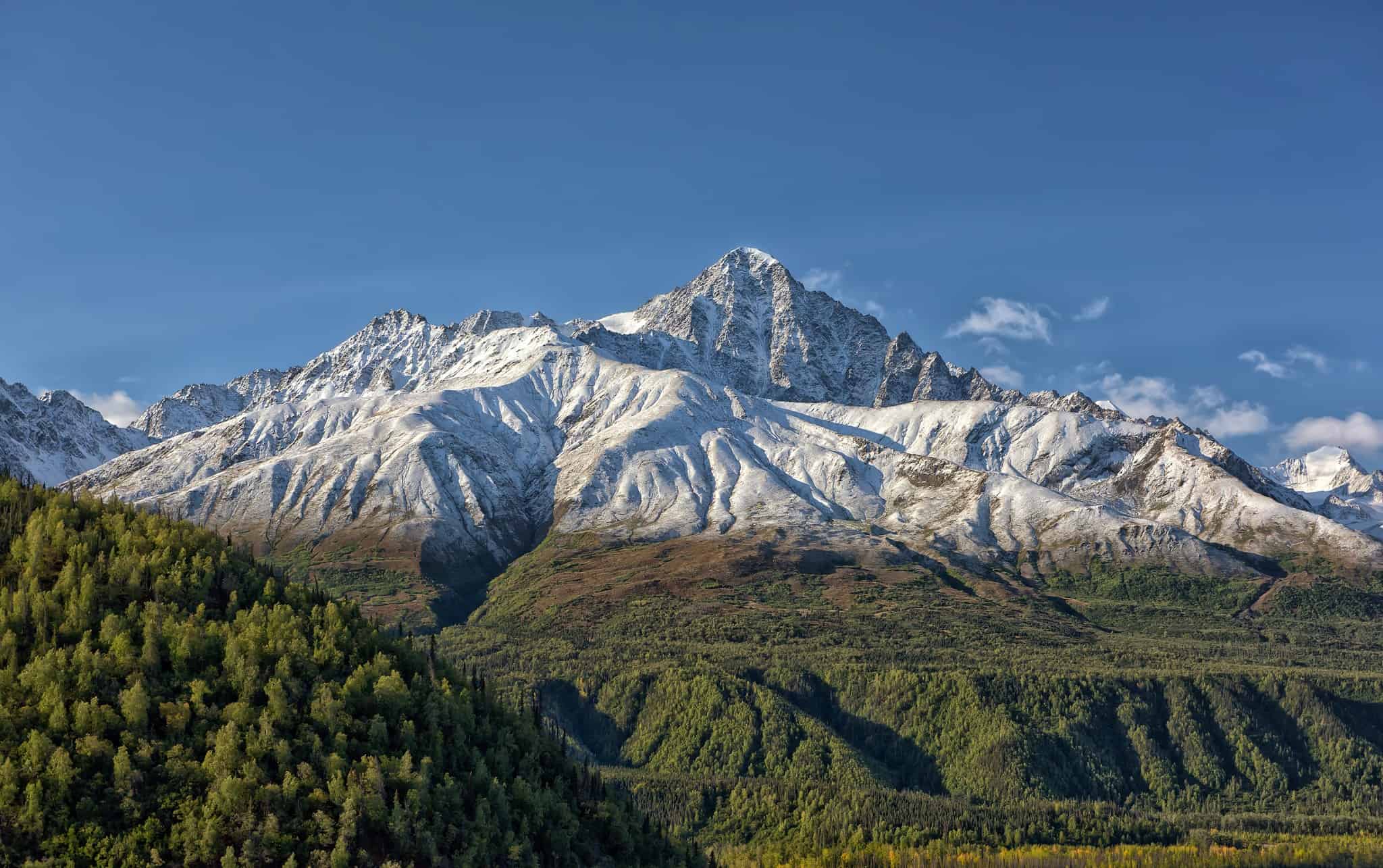 Những điều người làm vườn Alaska cần biết vào mùa xuân này ⋆ Cá cảnh mini