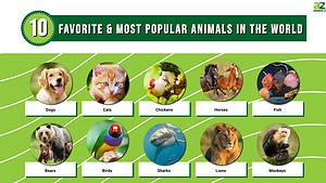 The World's 10 Favorite & Most Popular Animals in 2024 - A-Z Animals
