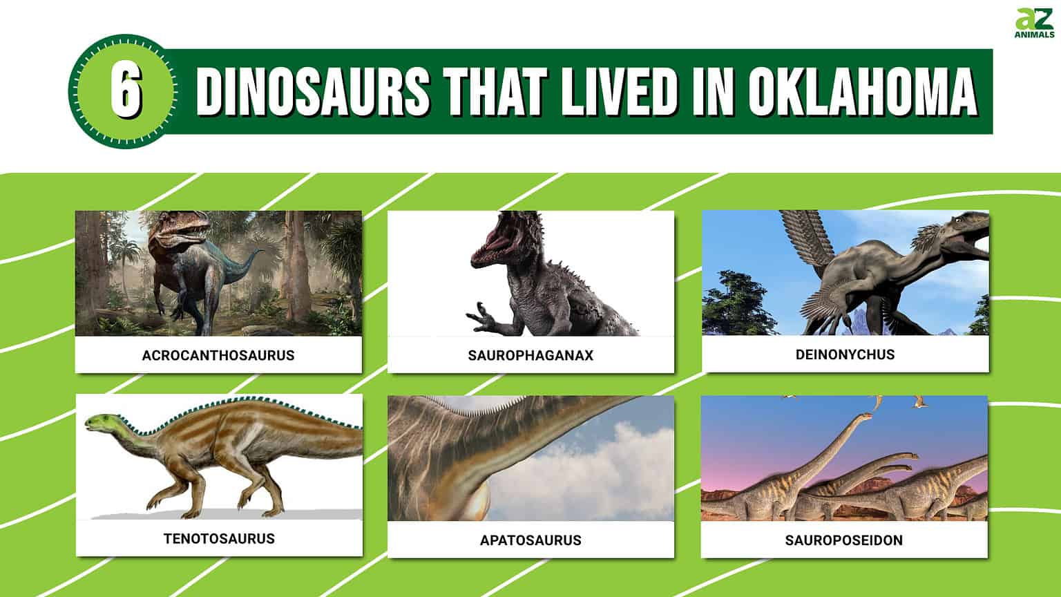 6 Dinosaurs That Lived in Oklahoma (And Where to See Fossils Today) - A ...