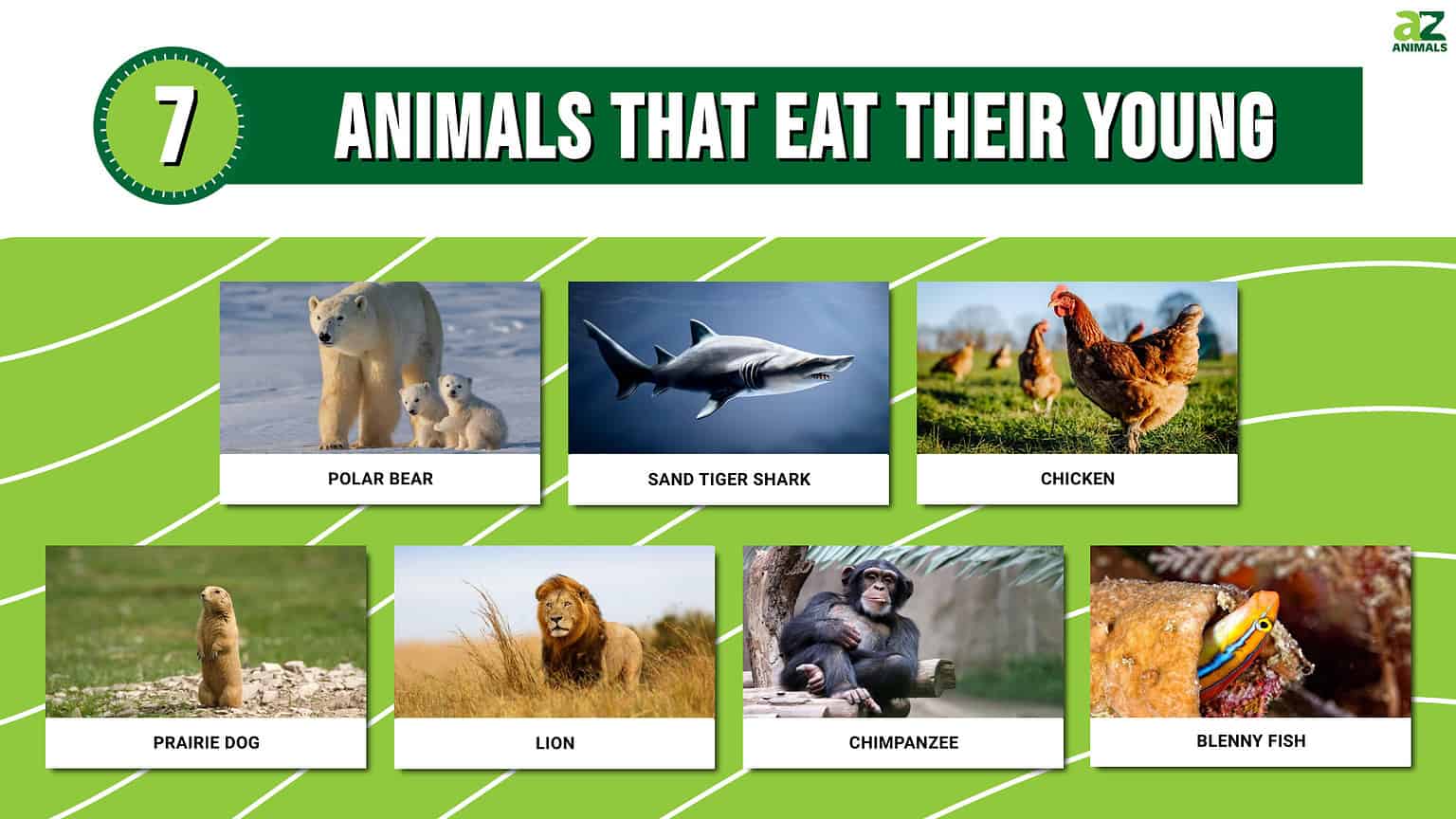 7 Animals That Eat Their Young and the Reasons They Do It - A-Z Animals