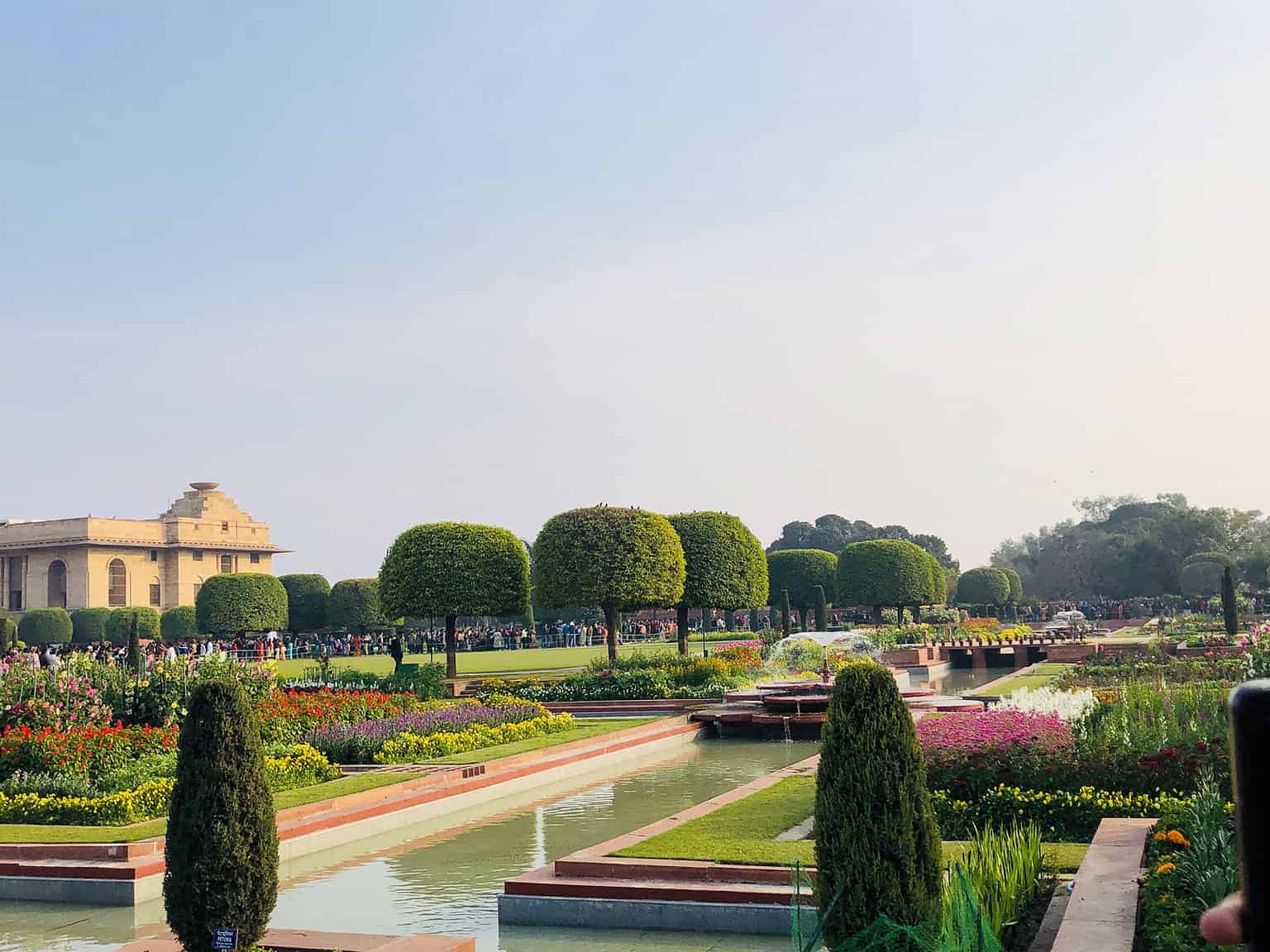 Discover the National Flower of India: Lotus - A-Z Animals