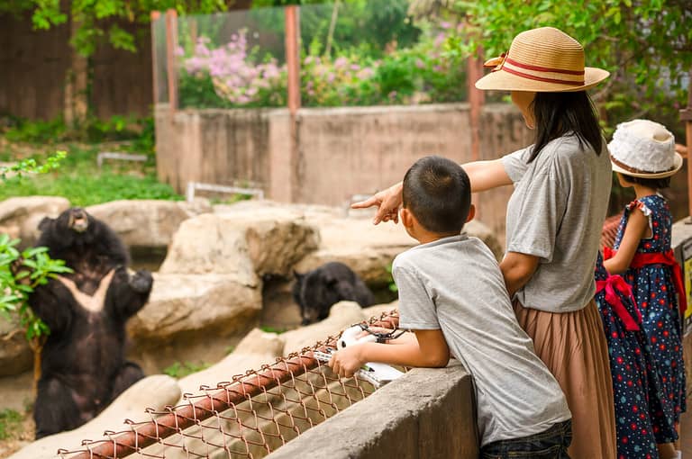 Life, Love, and Lessons from a Zookeeper - A-Z Animals