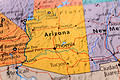 Foxes in Arizona: Types and Where They Live - A-Z Animals