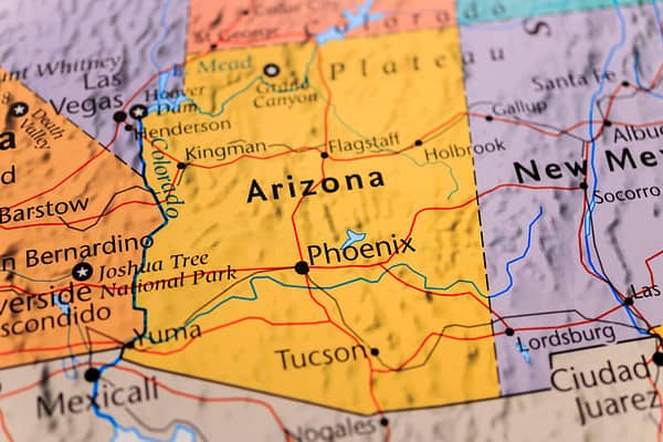Foxes in Arizona: Types and Where They Live - A-Z Animals