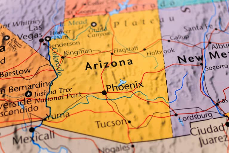 Foxes in Arizona: Types and Where They Live - A-Z Animals