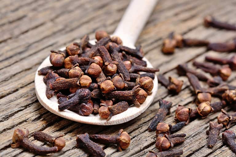 Discover 8 Smells That Bees Absolutely Hate - A-Z Animals