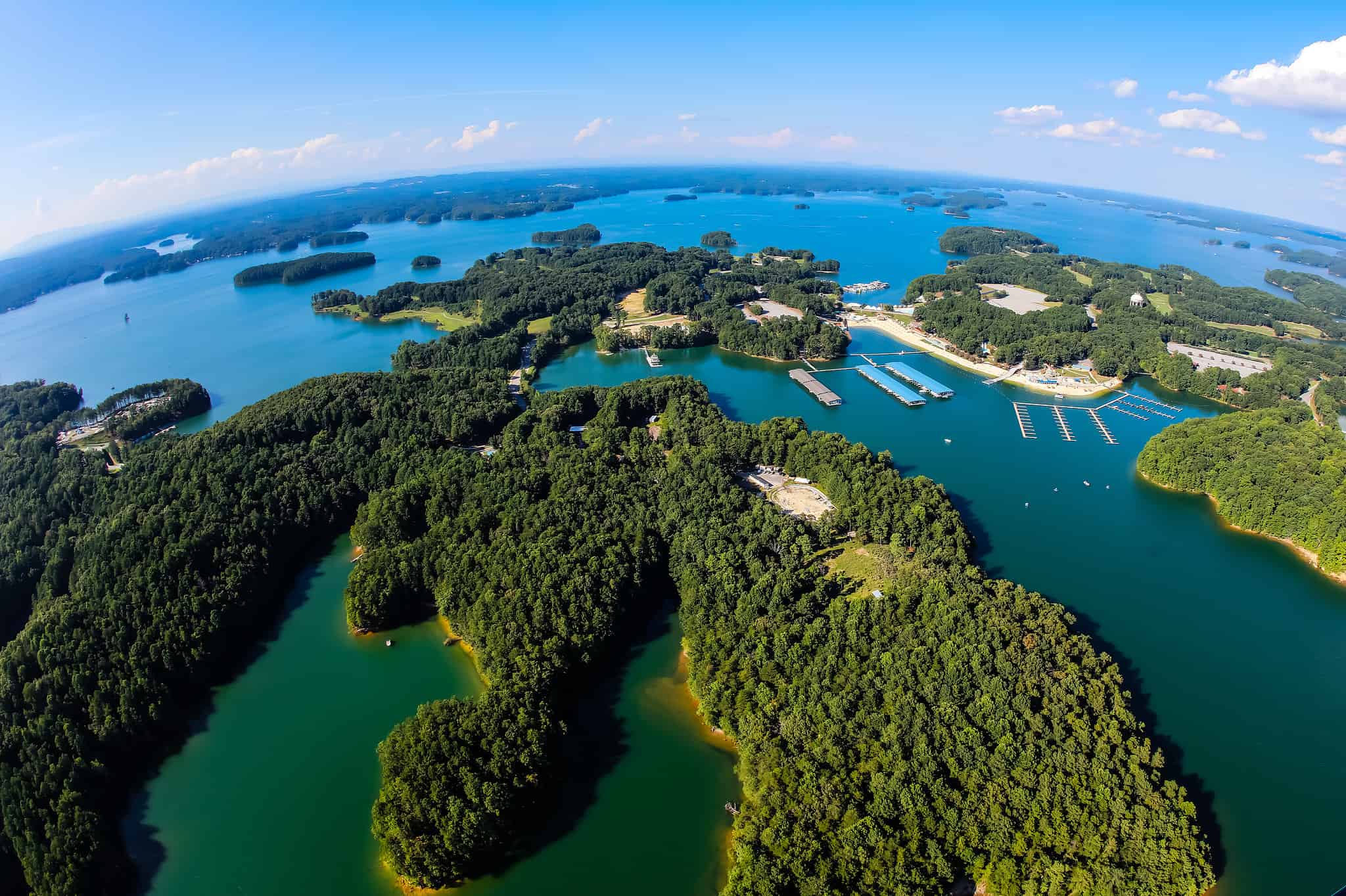 The Most Snake-Infested Lakes in Georgia - AZ Animals