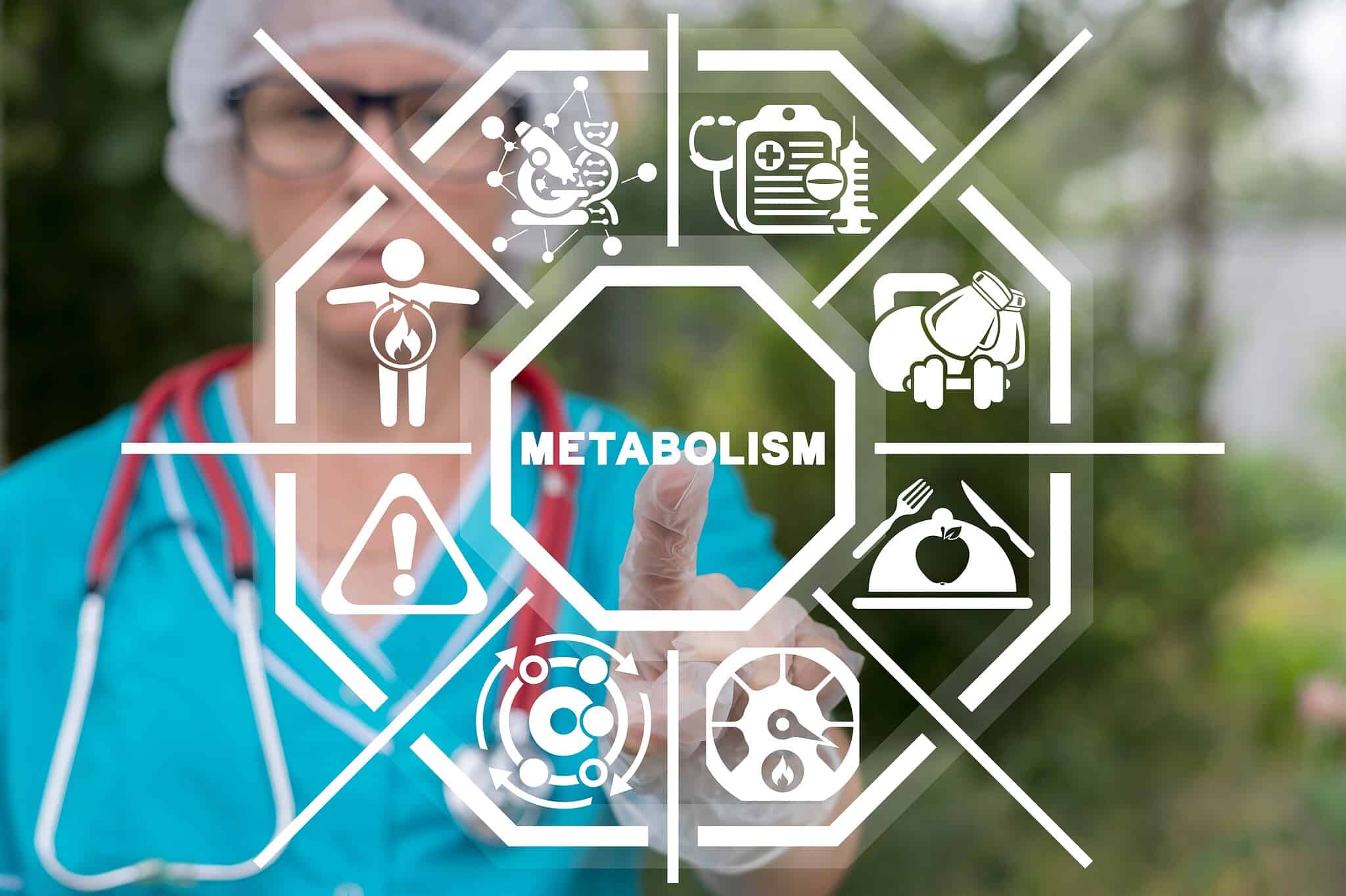 Metabolism - A-Z Animals