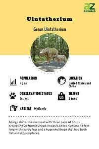 Uintatherium Animal Facts - Uintatherium - A-Z Animals