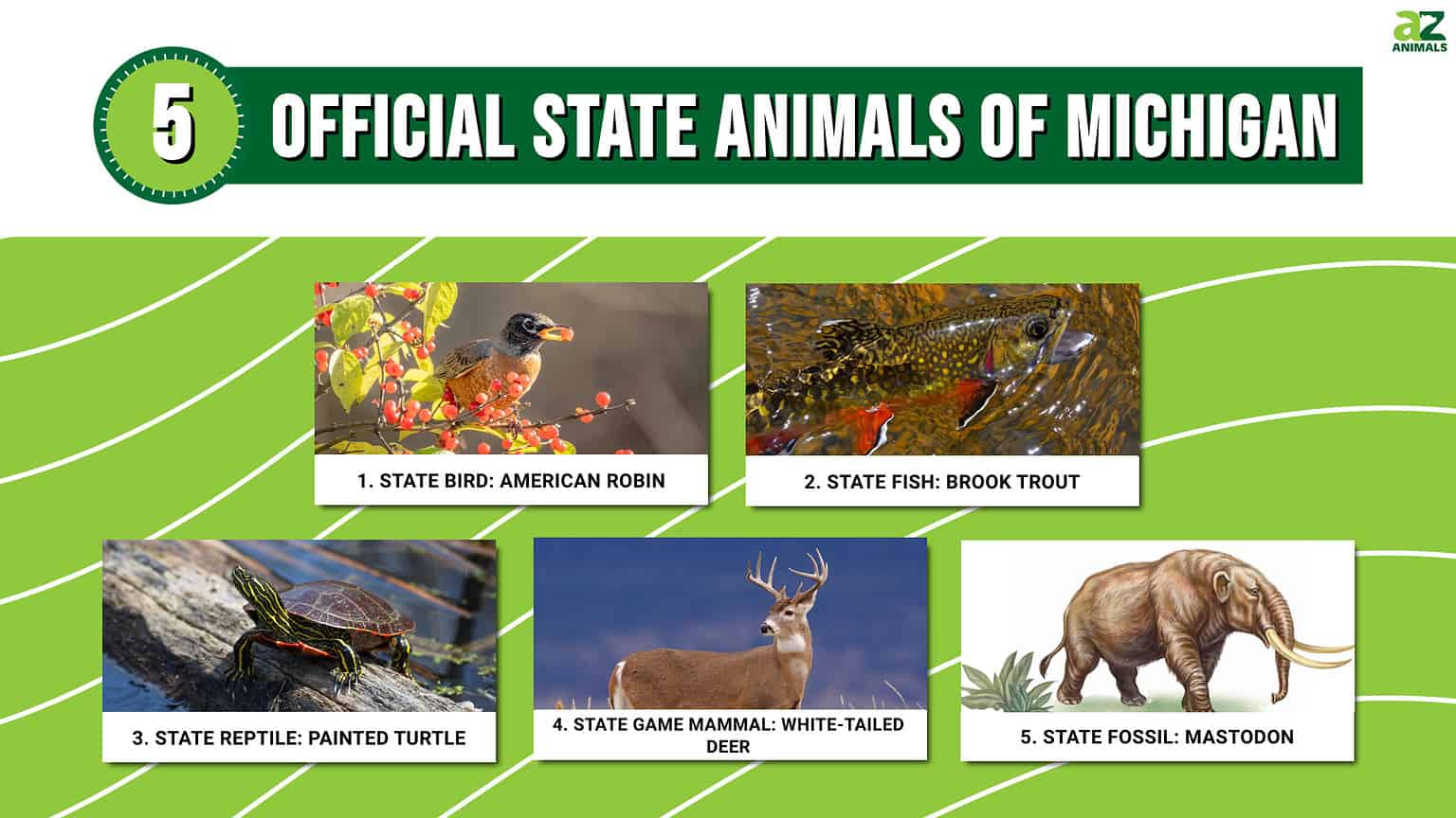 Discover the 5 Official State Animals of Michigan - A-Z Animals