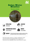 Asian Water Monitor Animal Facts - Varanus salvator - A-Z Animals