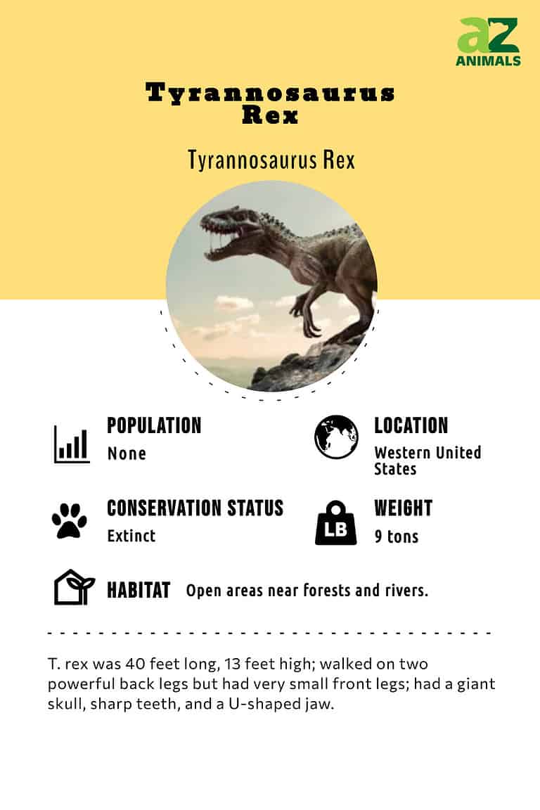 Tyrannosaurus Rex Animal Facts - Tyrannosaurus rex - A-Z Animals