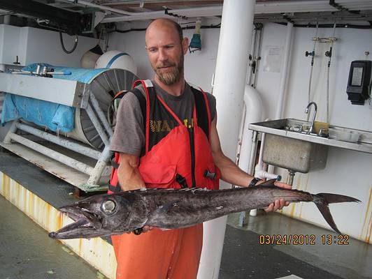 Explore 100+ Fish That Start with L (Common Names) - A-Z Animals