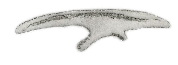 Meet the Micropachycephalosaurus — The Dinosaur With the Longest Name ...