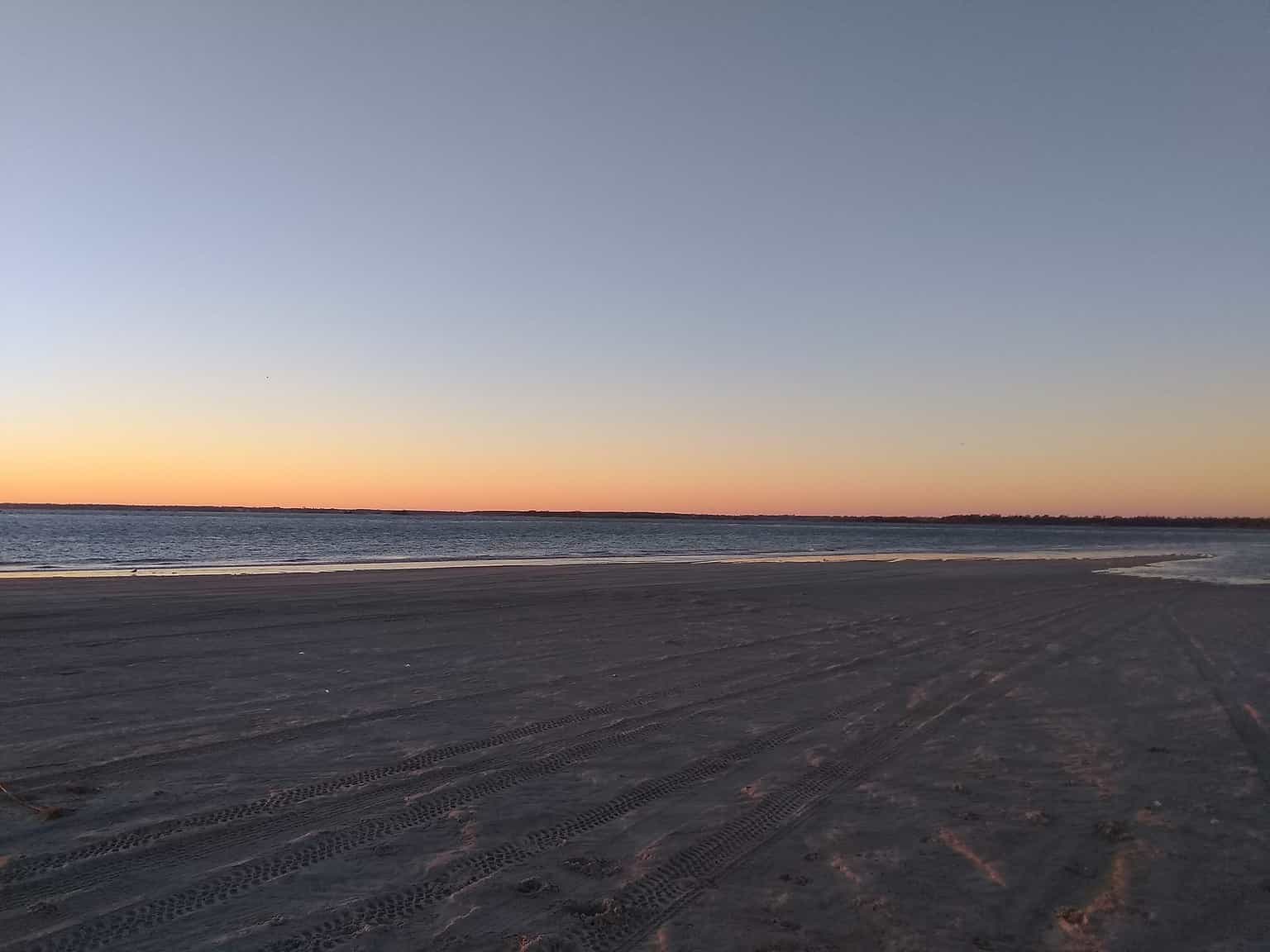 8 North Carolina Beaches with the Most Shark Attacks - A-Z Animals