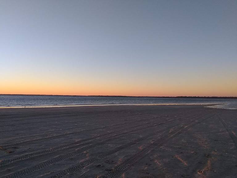 8 North Carolina Beaches with the Most Shark Attacks - A-Z Animals