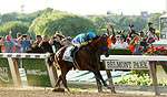 The 15 Most Famous Race Horses Throughout History - A-Z Animals