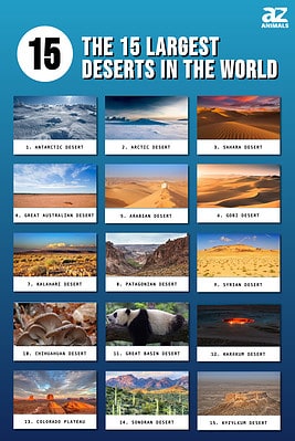 The 15 Largest Deserts In The World - A-Z Animals