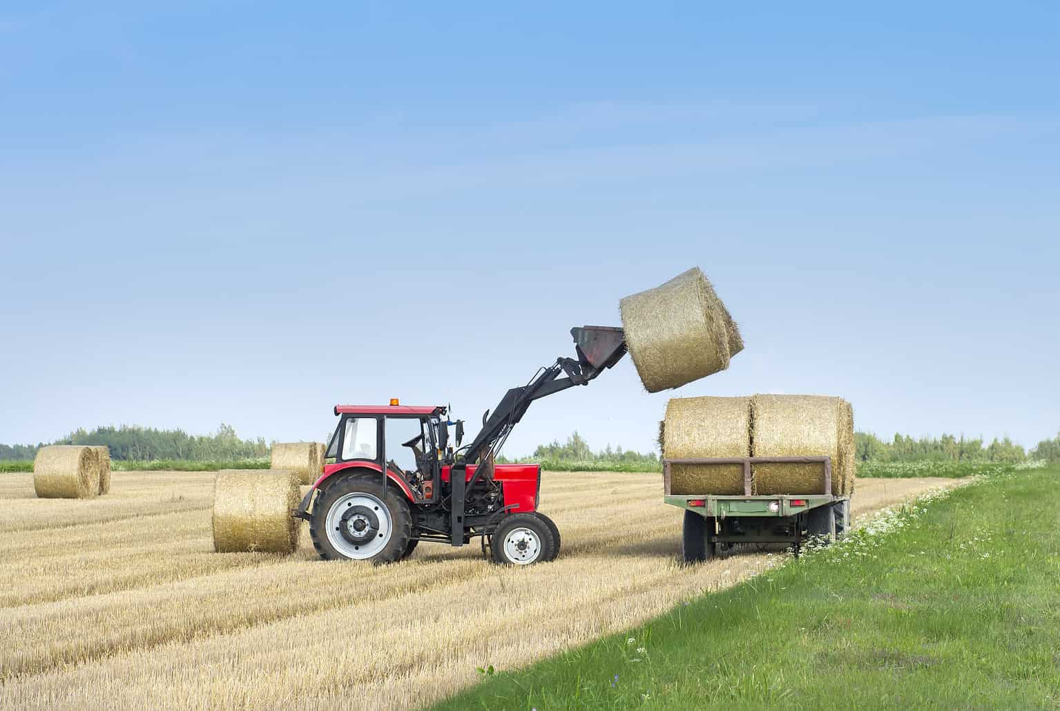 How Much Does a Bale of Hay Weigh? The Answer May Surprise You - A-Z ...