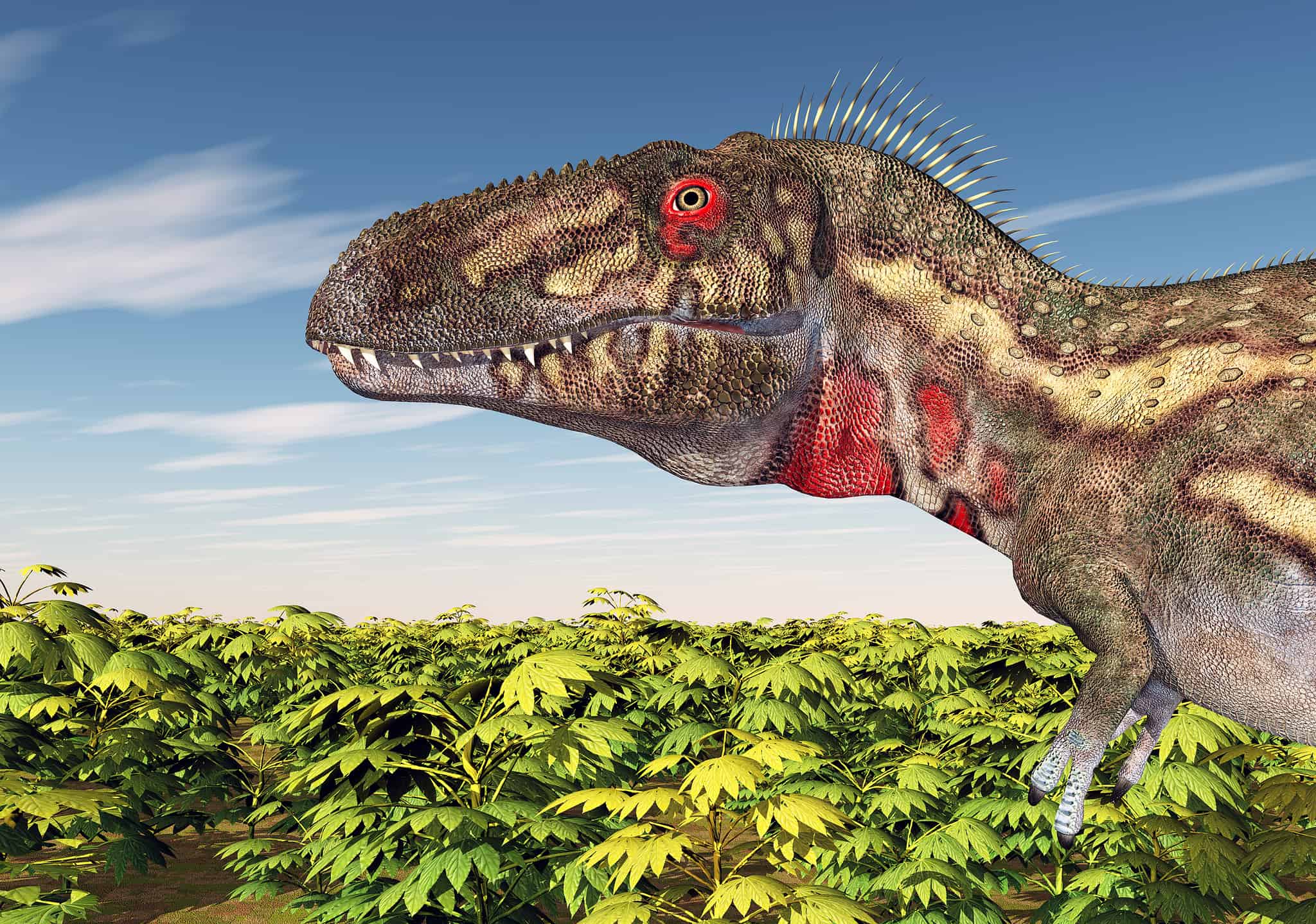 Discover the Top 8 Fastest Dinosaurs Ever to Walk the Earth - A-Z Animals