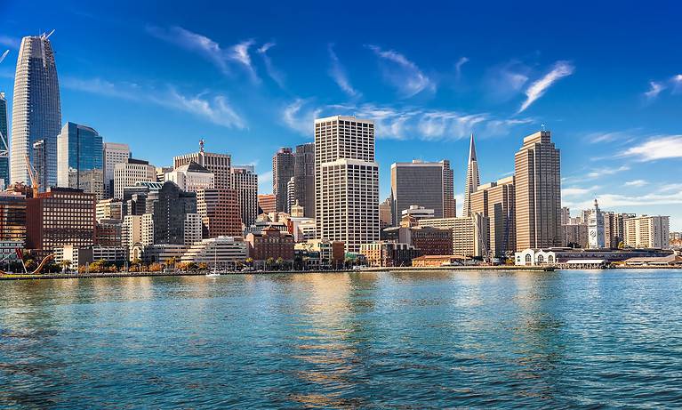 What Lives at the Bottom of the San Francisco Bay? - A-Z Animals