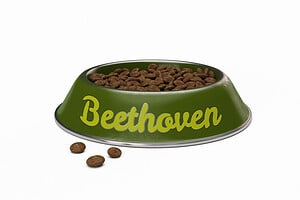 What Kind Of Dog Is Beethoven? Breed Information, Pictures, and Facts ...