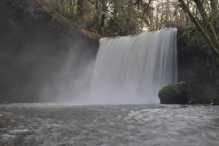 Discover Why Oregon Is Called the Beaver State
