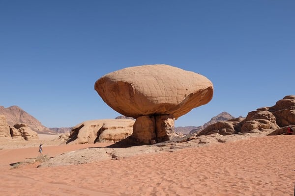 Debunking the Claim of Mushrooms Found on Mars - A-Z Animals