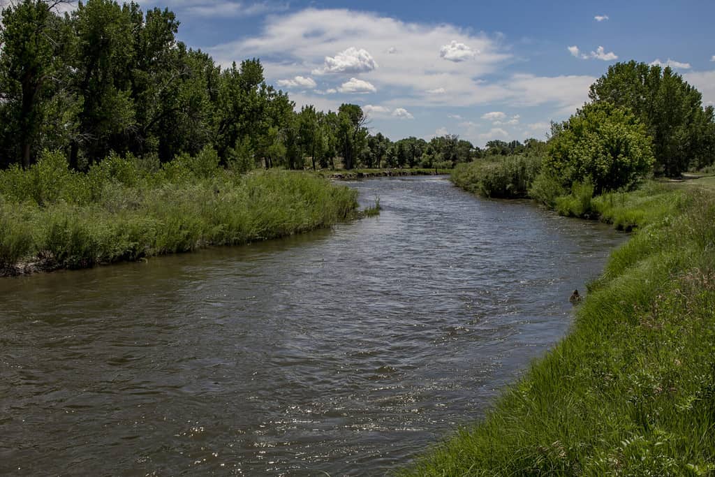 The 5 Best Fishing Lakes in Wyoming (And the Types of Fish to Expect ...