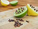 20 Natural and Effective Ways to Get Rid of Mosquitoes - A-Z Animals